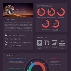 20 Ejemplos de CV infográfico para inspirarte - Visme