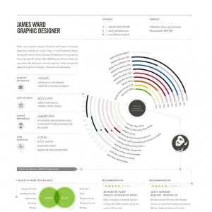 20 Ejemplos de CV infográfico para inspirarte - Visme