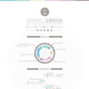 20 Ejemplos de CV infográfico para inspirarte - Visme