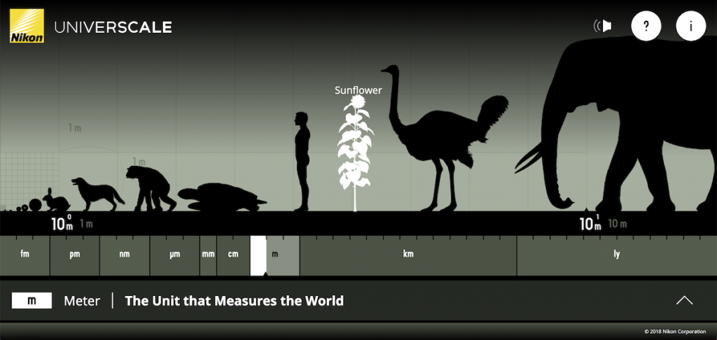 15 Data Visualization Examples to Inspire You