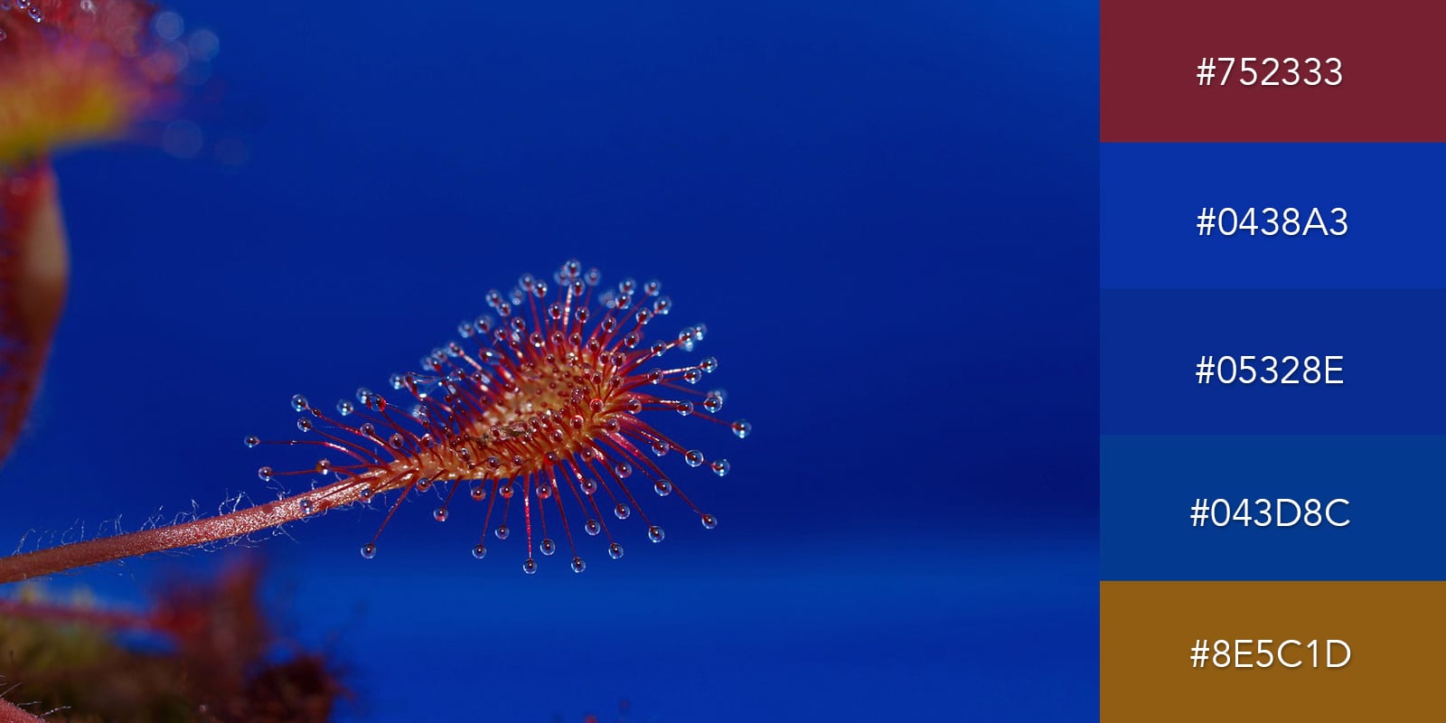 50 Beautiful Color Combinations (And How to Apply Them to Your Designs)