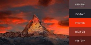 Palette de couleur : 50 superbes associations de couleurs