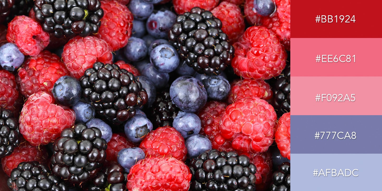 50 Beautiful Color Combinations (And How to Apply Them to Your Designs)