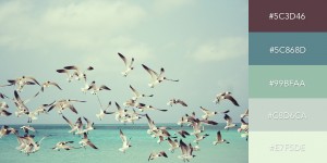 50 Beautiful Color Combinations (And How to Apply Them to Your Designs)