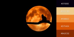 50 Beautiful Color Combinations (And How to Apply Them to Your Designs)