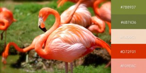 50 Beautiful Color Combinations (And How to Apply Them to Your Designs)