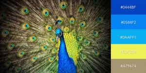 50 Beautiful Color Combinations (And How to Apply Them to Your Designs)