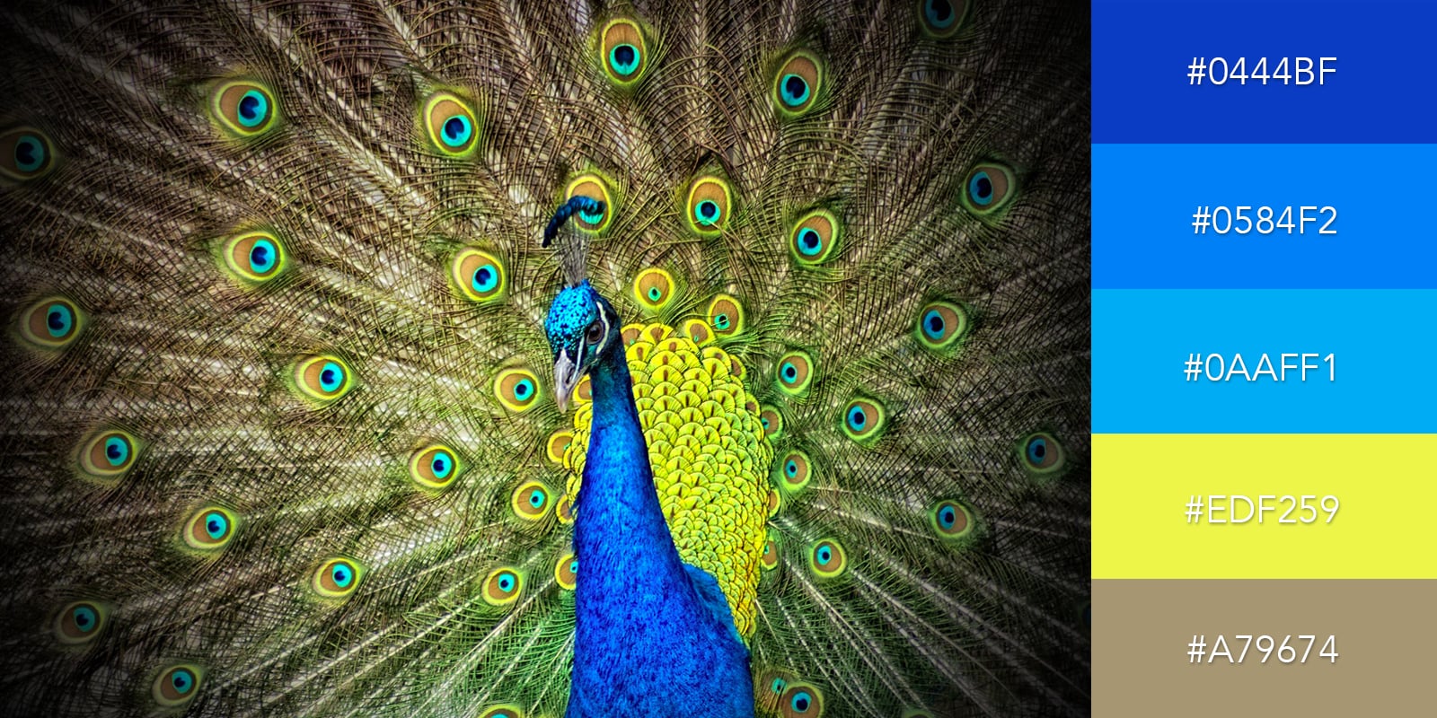 Palette de couleur : 50 superbes associations de couleurs