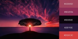 50 Beautiful Color Combinations (And How to Apply Them to Your Designs)