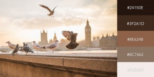 50 Beautiful Color Combinations (And How to Apply Them to Your Designs)