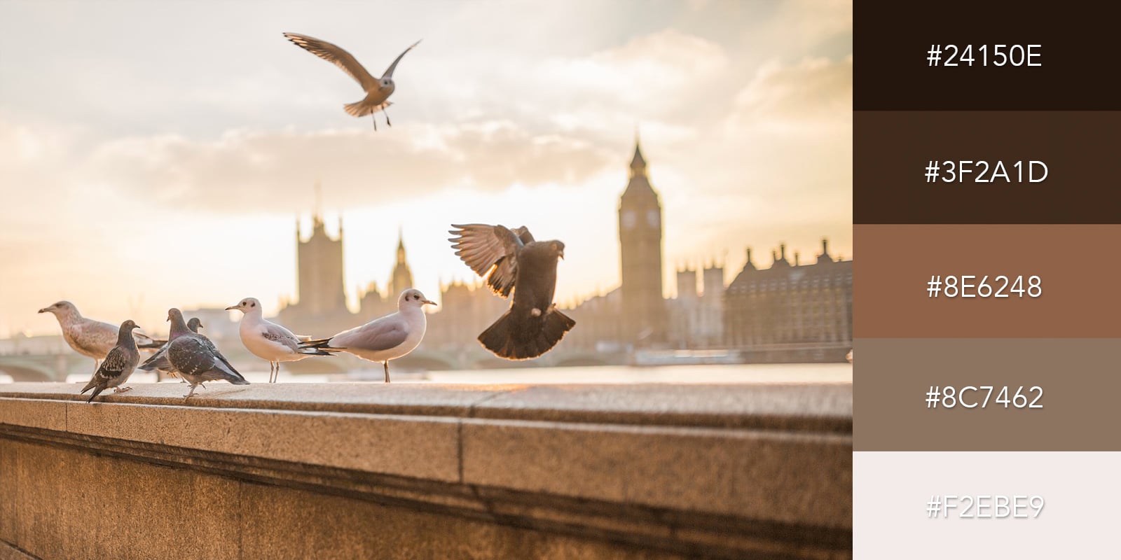 50 Beautiful Color Combinations (And How to Apply Them to Your Designs)