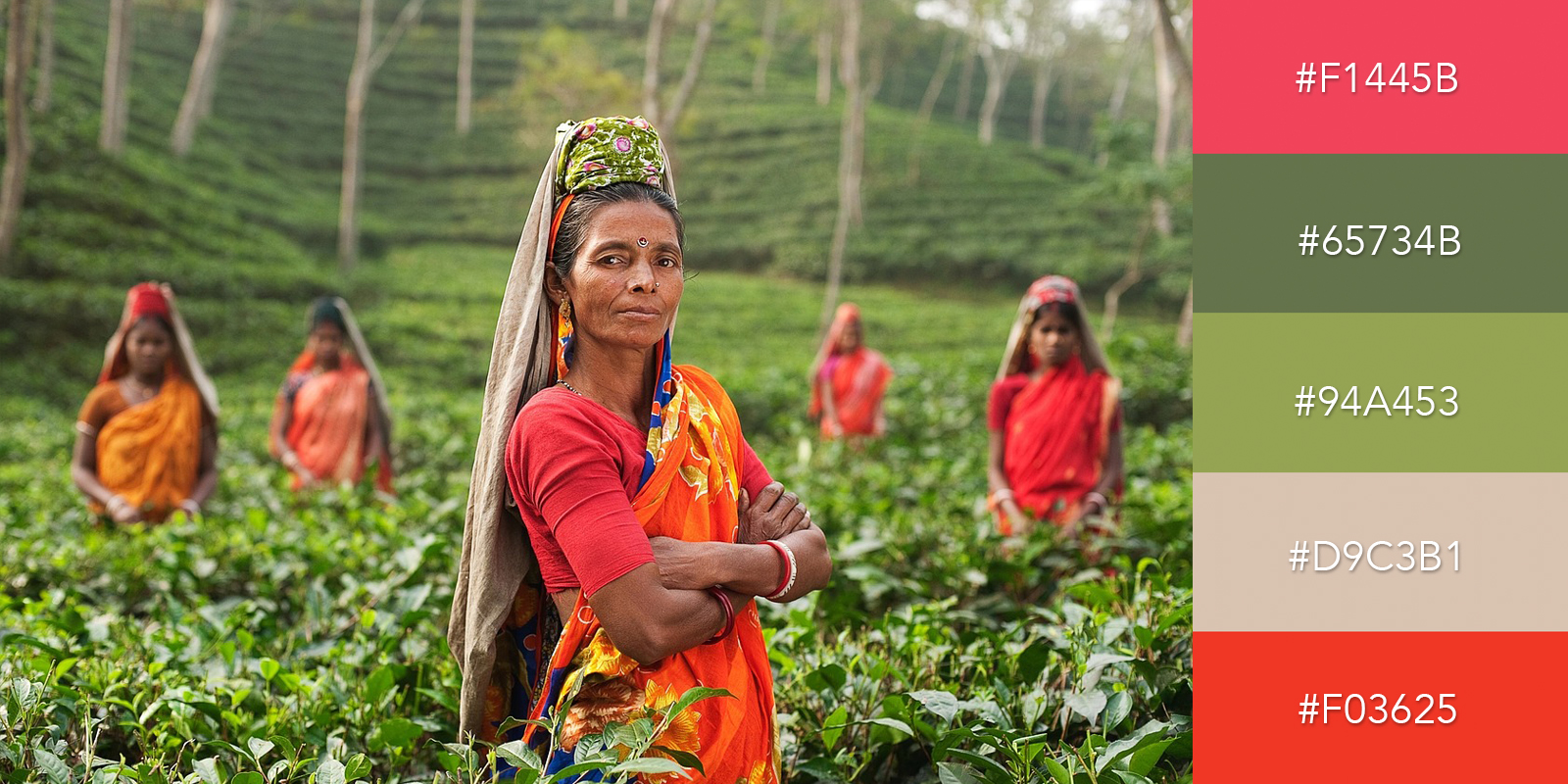 Combinación de colores: 50 hermosas paletas y como usarlas