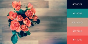 50 Beautiful Color Combinations (And How to Apply Them to Your Designs)