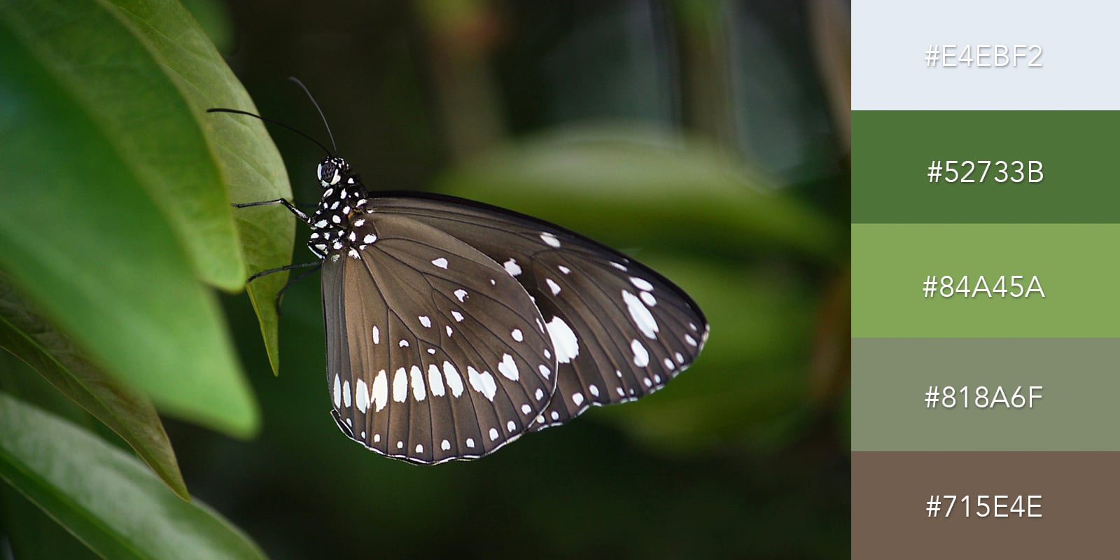 50 Beautiful Color Combinations (And How to Apply Them to Your Designs)