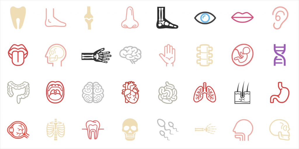Visme Introduces 150+ New Vector Icons
