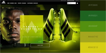 50 Gorgeous Color Schemes From Stunning Websites