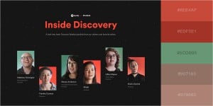 50 Gorgeous Color Schemes From Stunning Websites