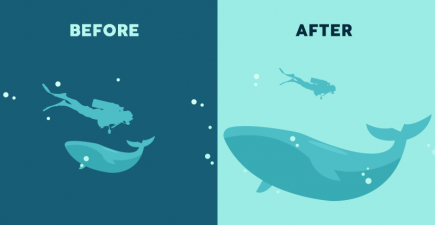 12 Visual Hierarchy Principles Non-Designers Needs to Know