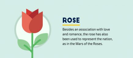 40 Common Symbols and Meanings (& How to Use Them)