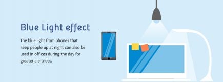 Real-life Examples of How Color Affects Our Perceptions