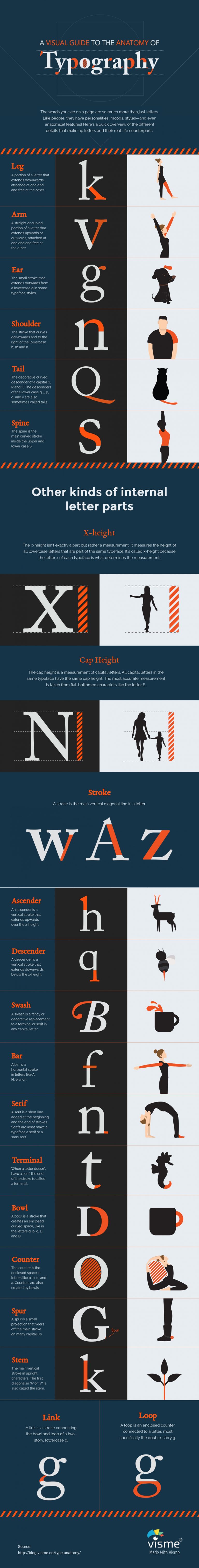 Type Anatomy: A Visual Guide to the Parts of Letters