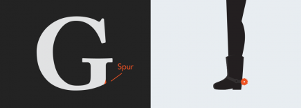 Type Anatomy: A Visual Guide to the Parts of Letters