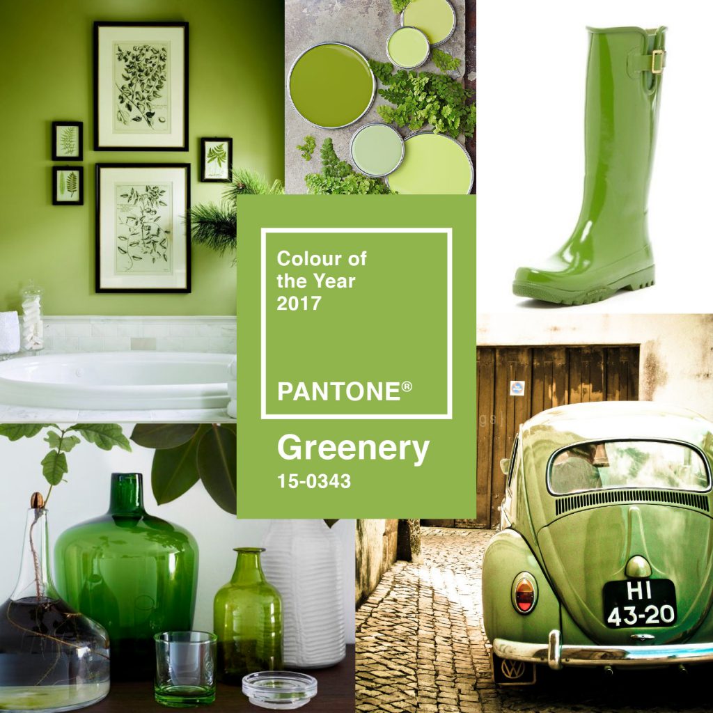 What Is the Pantone Color of the Year and Why Is It Important?