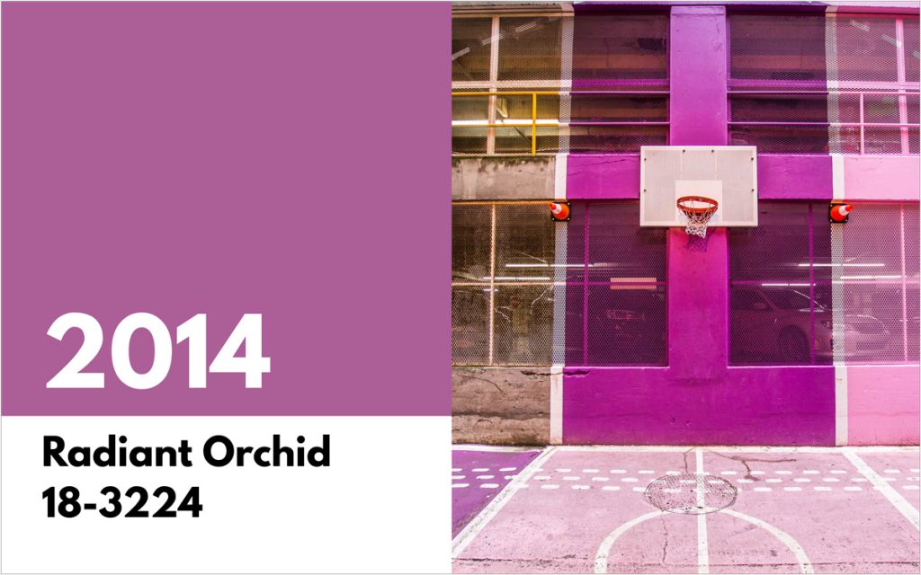 What Is the Pantone Color of the Year and Why Is It Important?