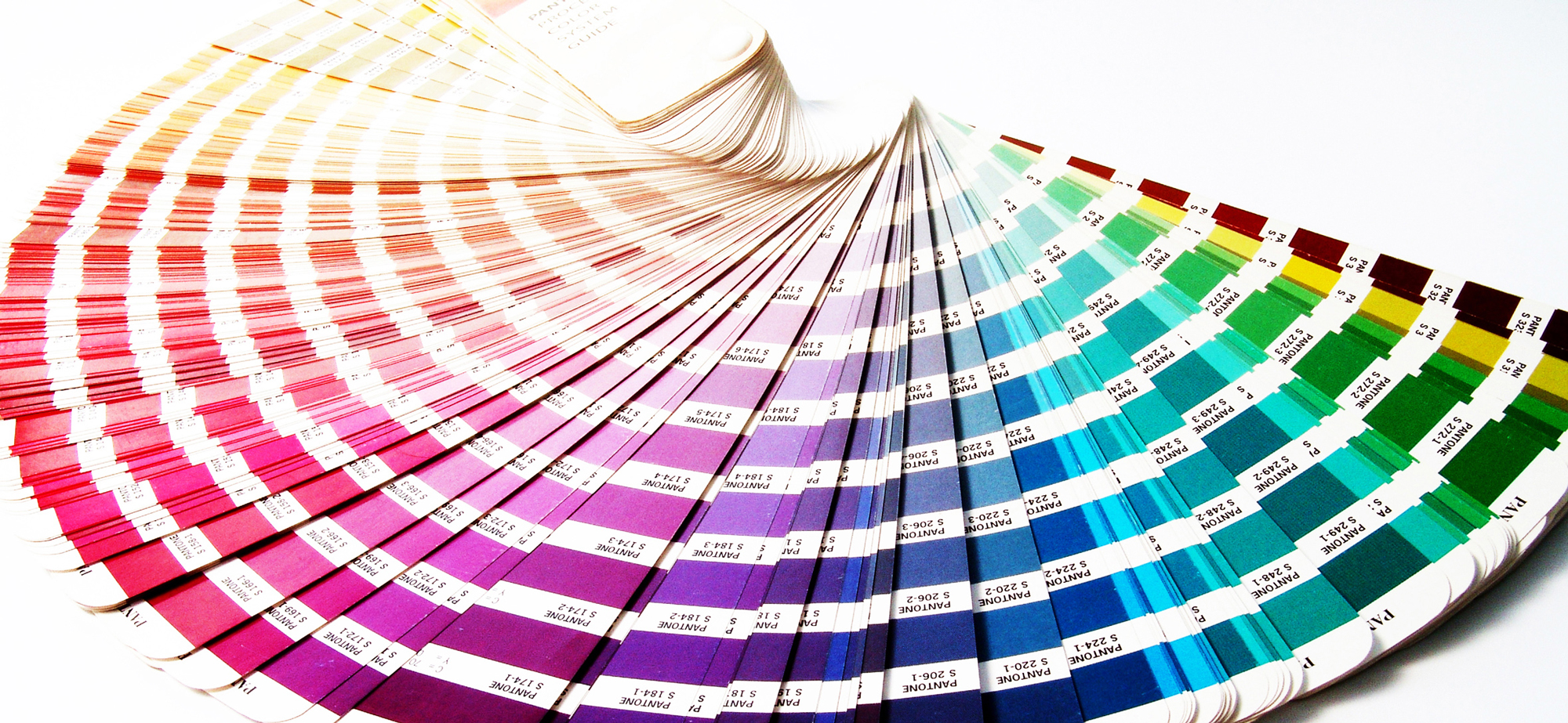 What Is The Pantone Color Of The Year And Why Is It Important What Is The Pantone Color Of The Year And Why Is It Important