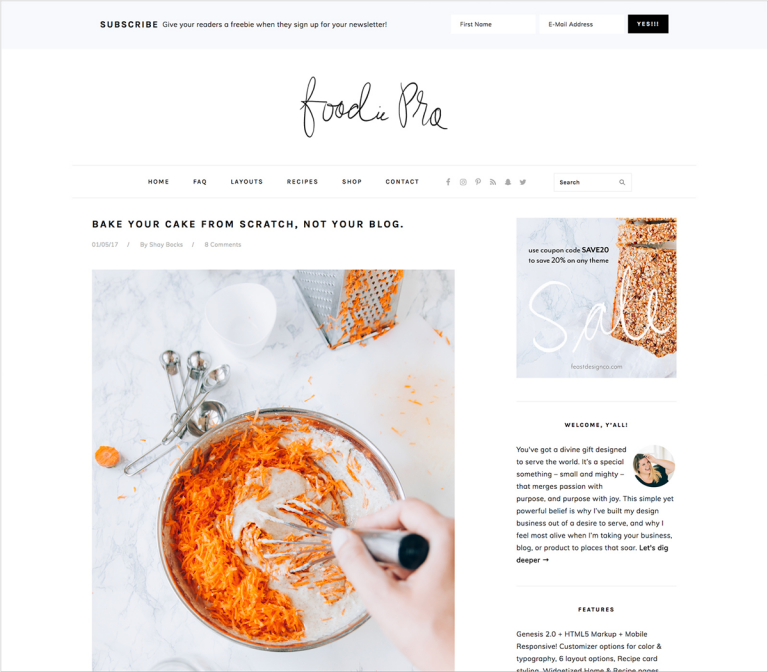 Layout Design: Types of Grids for Creating Professional-Looking Designs