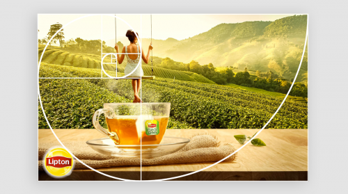 20+ Commonly Used Advertising Techniques That Work [2021]