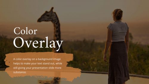 700+ Presentation Images That Will Enhance Any Presentation [Free Images]