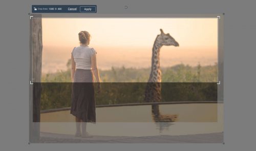 700+ Presentation Images That Will Enhance Any Presentation [Free Images]