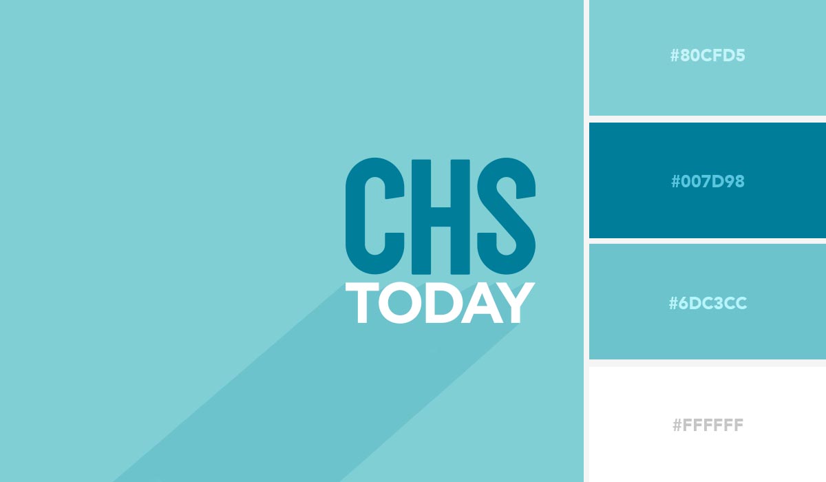 Logo Color Schemes Chstoday Palette Support Visme Logo Color Schemes Chstoday Palette Support Visme