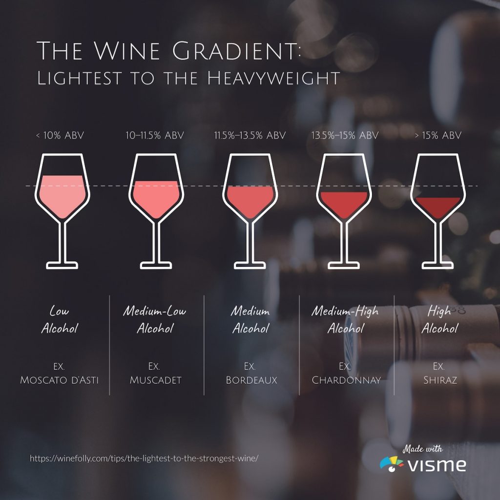How to Choose the Right Infographic Dimensions for Your Design