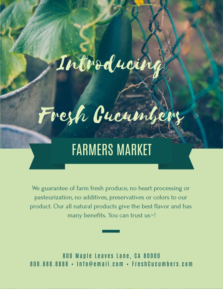 Modèles flyers : 65 exemples créatifs à modifier facilement