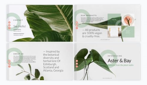 13 PowerPoint Presentation Tips to Create Engaging Presentations