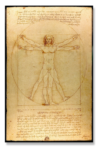 What is the Golden Ratio and How to Use it in Design