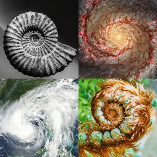What is the Golden Ratio and How to Use it in Design