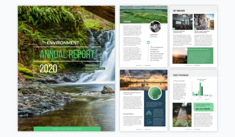 45+ Annual Report Design Templates & Awesome Examples