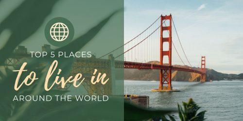 50+ Unique Banner Design Ideas to Inspire You (Categorized)