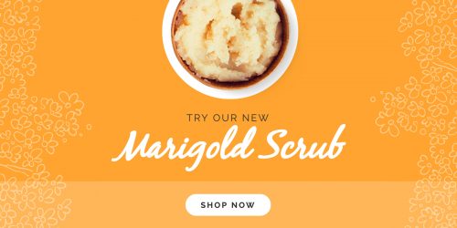 50+ Unique Banner Design Ideas to Inspire You (Categorized)