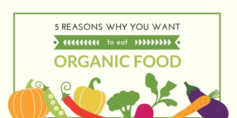 50+ Unique Banner Design Ideas to Inspire You (Categorized)