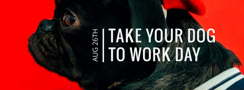 50+ Unique Banner Design Ideas to Inspire You (Categorized)