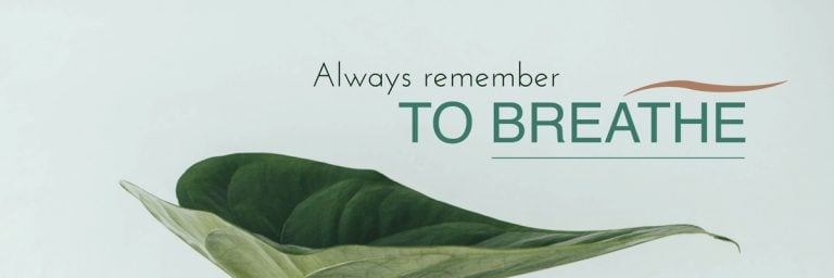 50+ Unique Banner Design Ideas to Inspire You (Categorized)