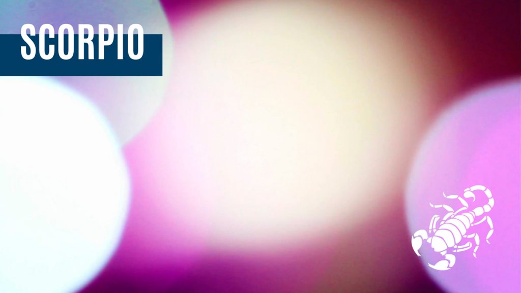 22 Best Zoom Backgrounds to Level Up Your Virtual Meetings