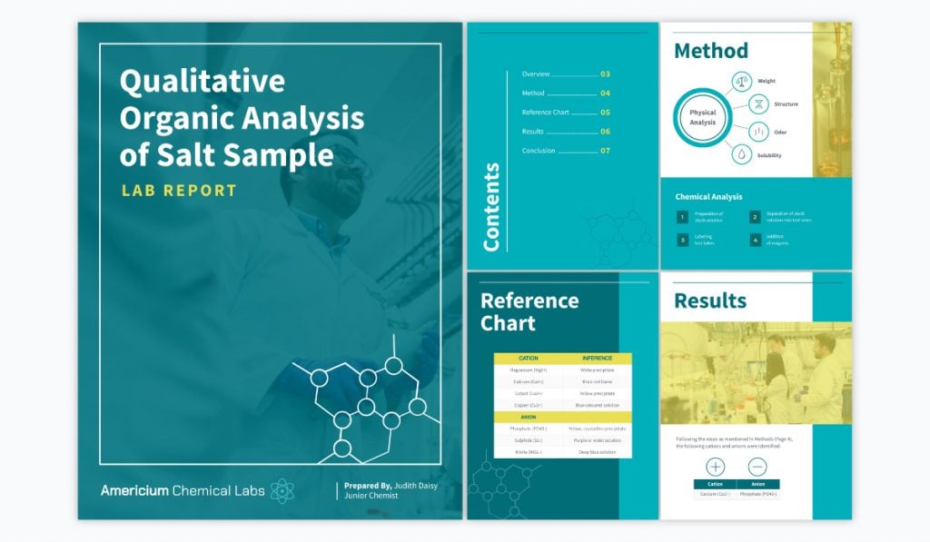 44 Best Business Report Templates & Examples for 2026