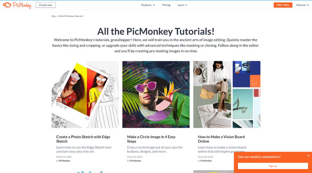 Canva vs PicMonkey: Full Comparison Guide for 2022