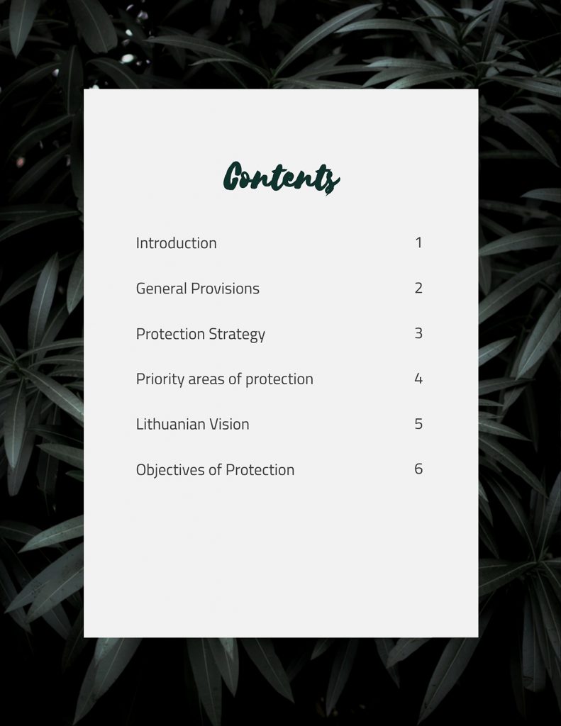 40 Professional Table of Contents Templates [2023 Update]
