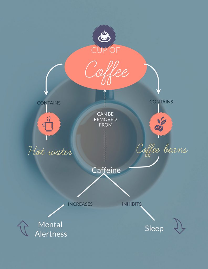 How to Make a Concept Map: Beginner’s Guide (& Templates)